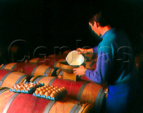 Cephas Picture Library - Asset Details 1012879- Fining wine with whites ...