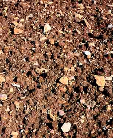 Cephas Picture Library - Asset Details 1022966- Soil of Romanée-Conti ...