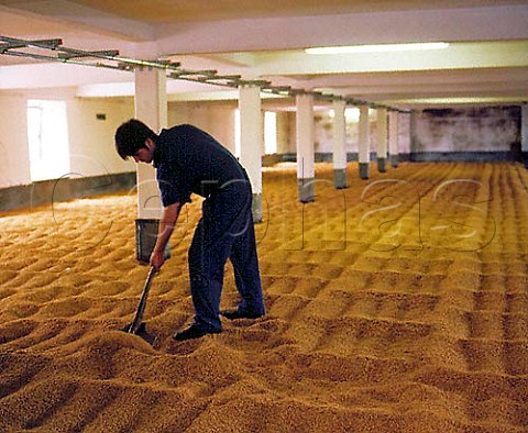 Cephas Picture Library - Asset Details 1058991- Malting floor at ...