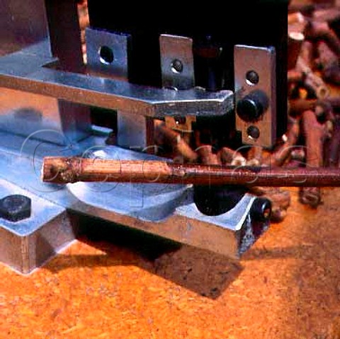 Cephas Picture Library - Asset Details 1072918- Completed Omega graft ...