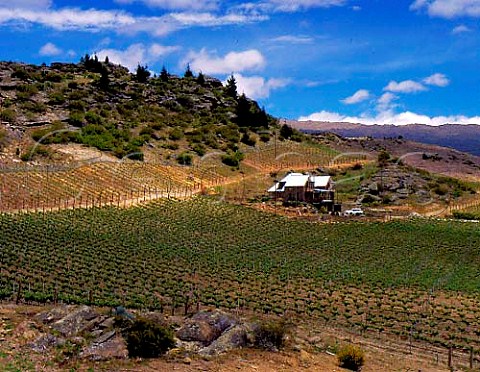 Cephas Picture Library - Asset Details 1079161- Black Ridge vineyard ...
