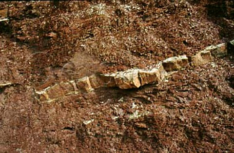 Galestro : GALESTRO VIÑA STA. Mª DE LOS REYES ALGODONALES - CampoHuerta ...