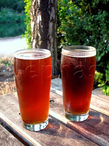Cephas Picture Library - Asset Details 1152883- Two pints of beer in a ...